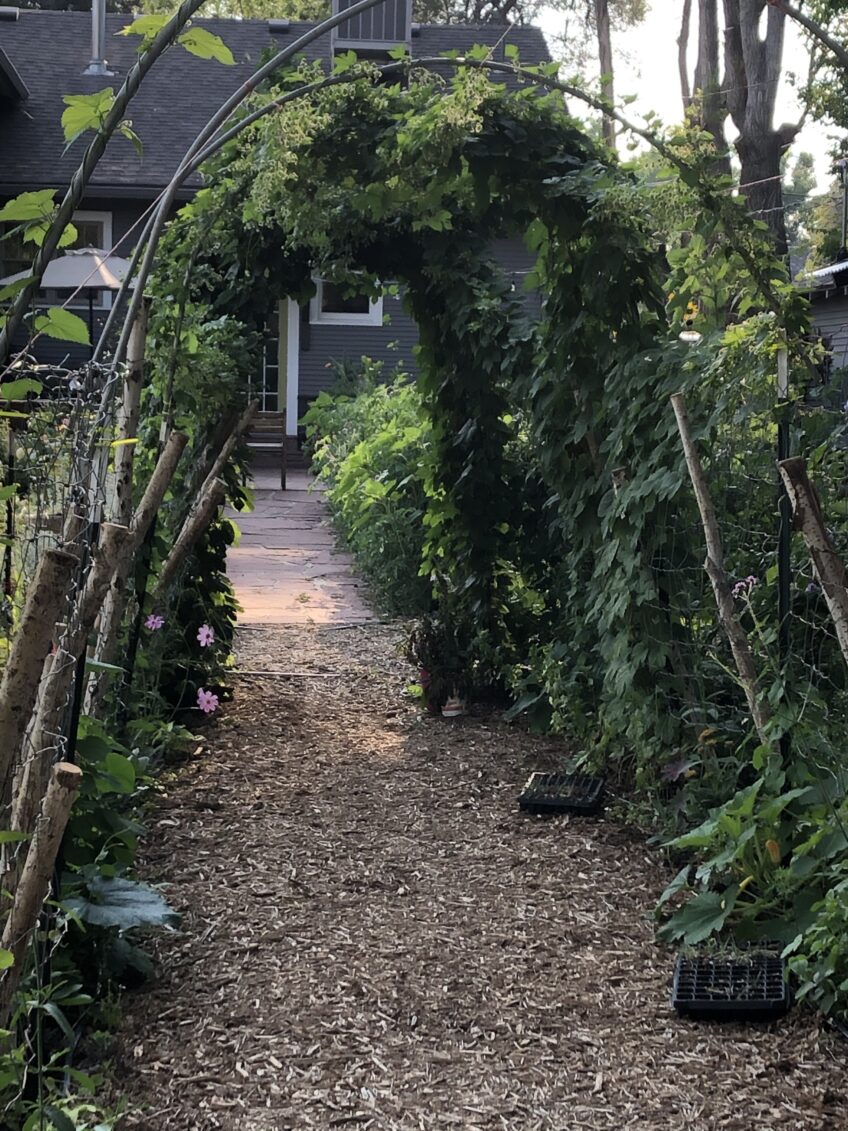 Collaborative Spotlight - Networking at Half Moon Farm - Colorado End ...