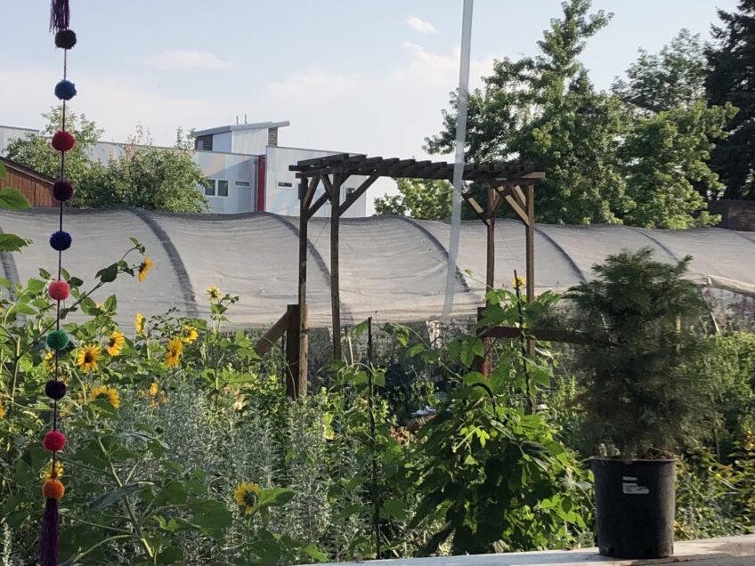 Collaborative Spotlight - Networking at Half Moon Farm - Colorado End ...